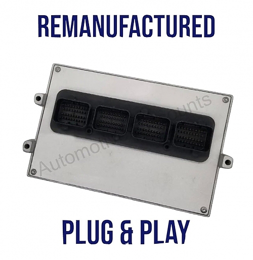 Jeep Wrangler | Shop By Make | Automotive Discounts